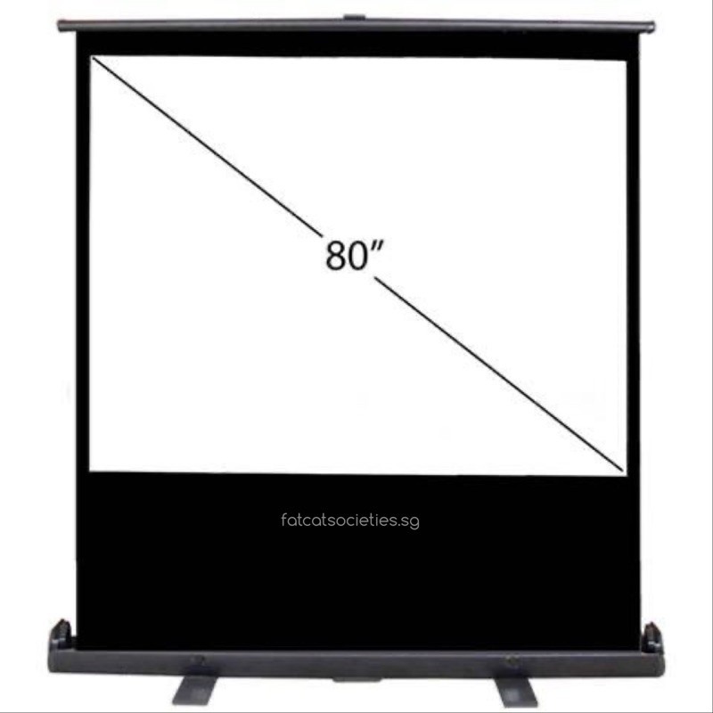 80" Portable Floor Pull Up Projector Screen (Retractable), TV & Home ...