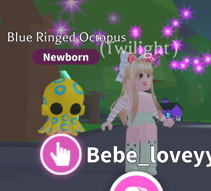 Adopt me LUNAR MOON BEAR AND BLUE RINGED OCTOPUS (NEW STOCKS) on Carousell