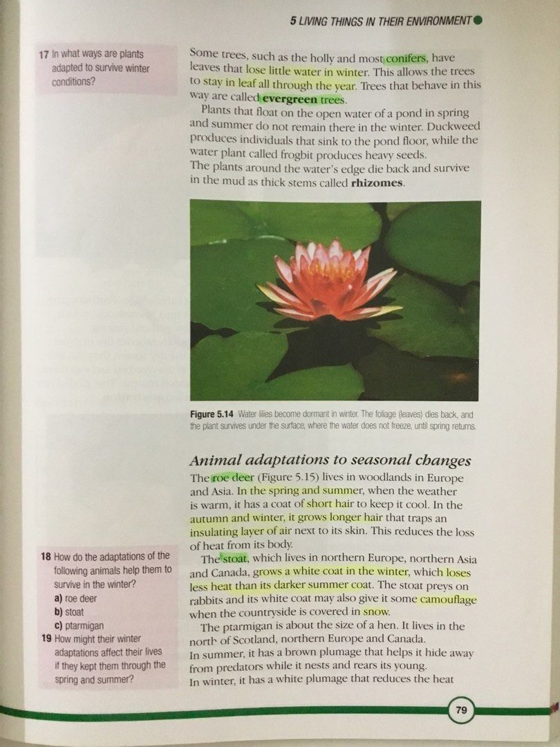 Cambridge Checkpoint Science Student's Book 1 (Hodder), Hobbies & Toys ...