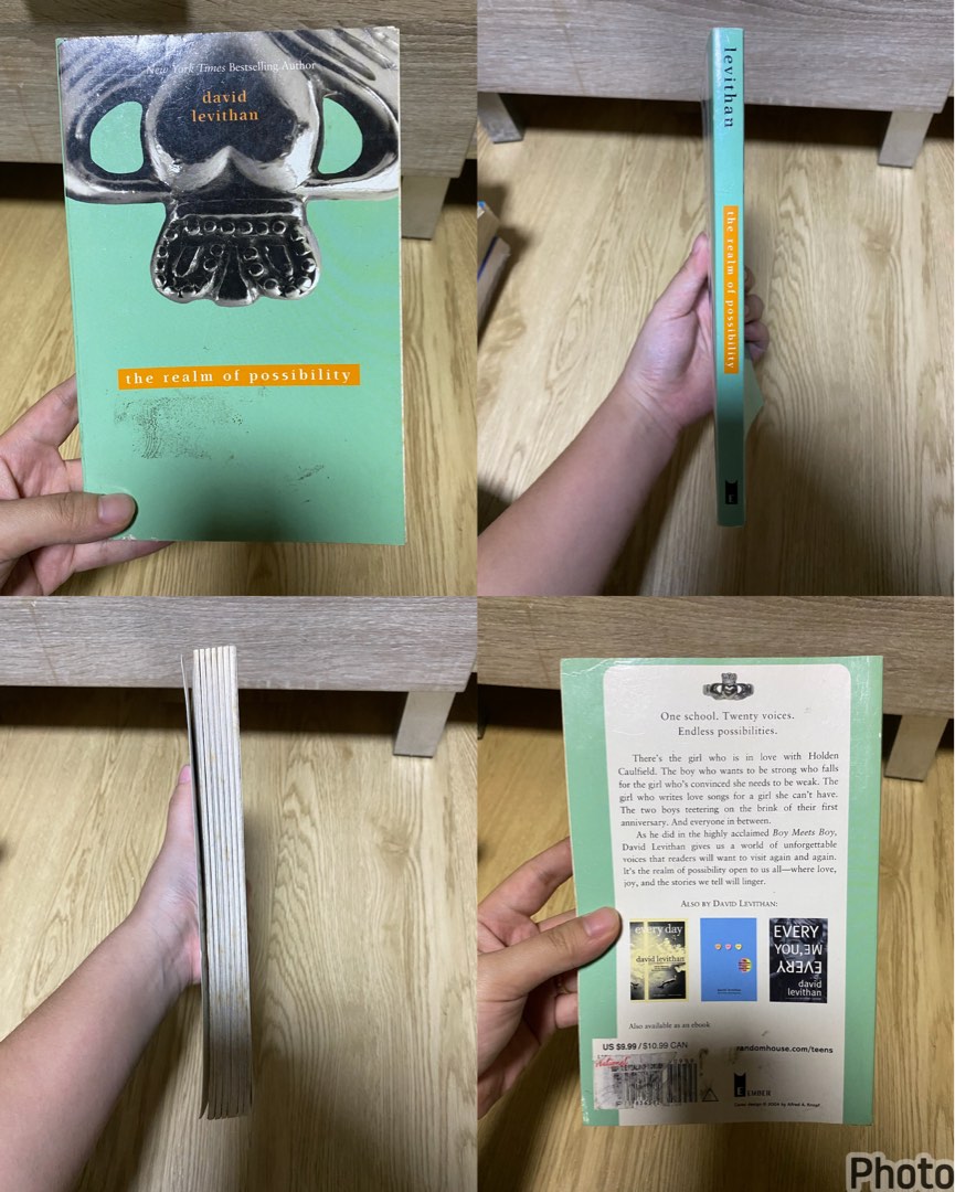 David Levithan The Realm of Possibility, Hobbies & Toys, Books ...