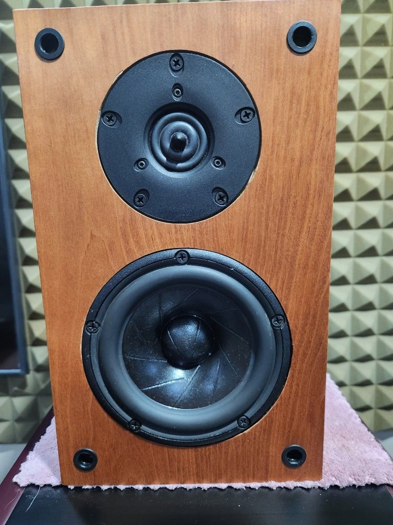 DIY scanspeak speaker, Audio, Soundbars, Speakers & Amplifiers on Carousell