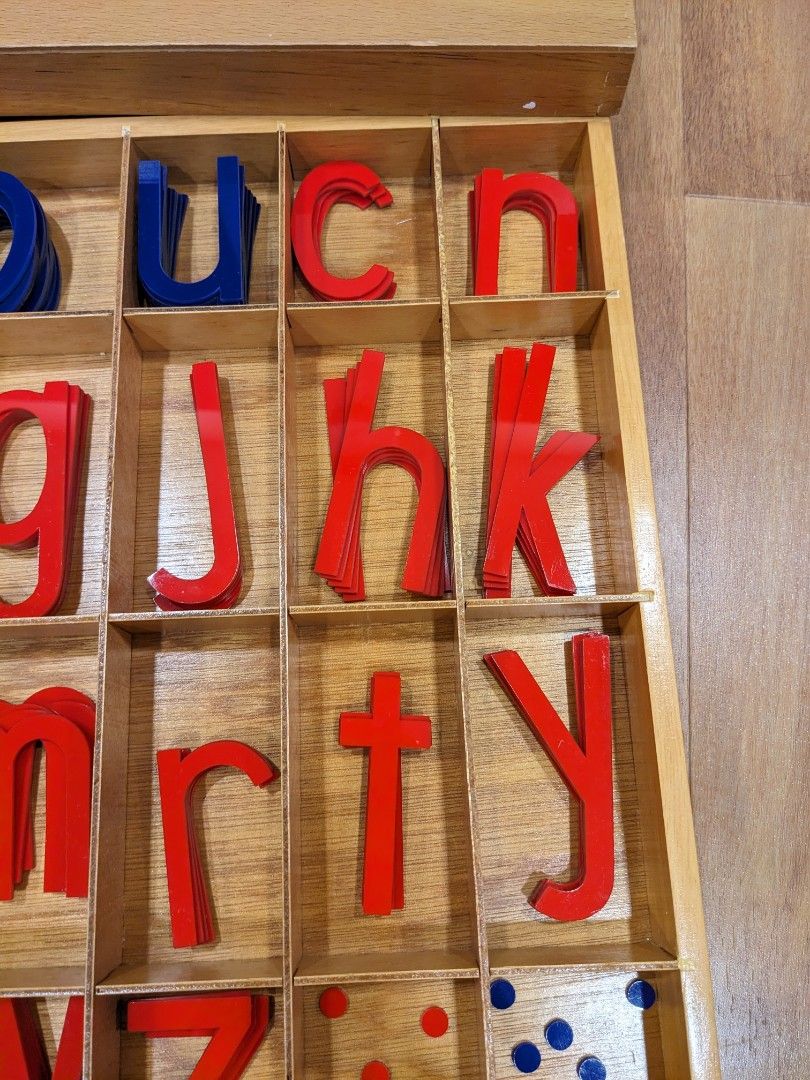 Montessori Large Movable Alphabet LMA, Hobbies & Toys, Toys & Games on ...