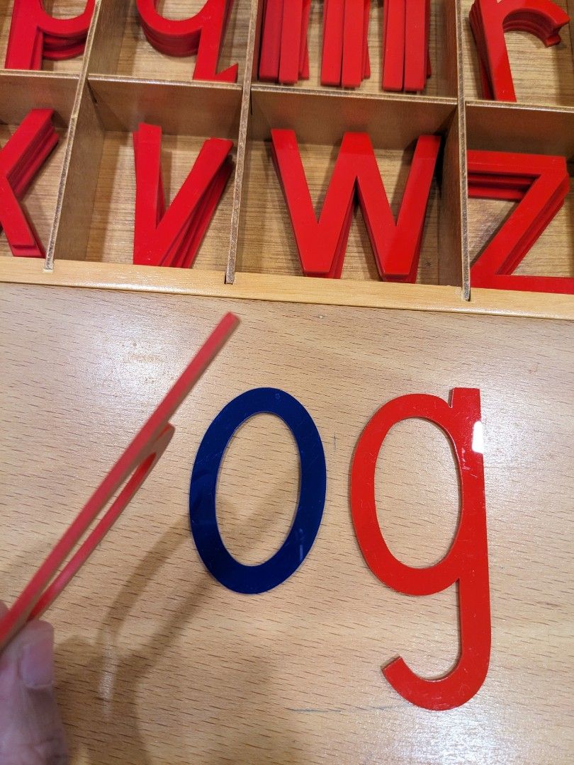 Montessori Large Movable Alphabet LMA, Hobbies & Toys, Toys & Games on ...