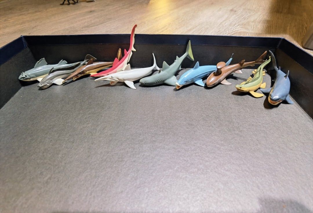 Prehistoric Sharks Figurines from Safari Ltd Toobs, Hobbies & Toys ...