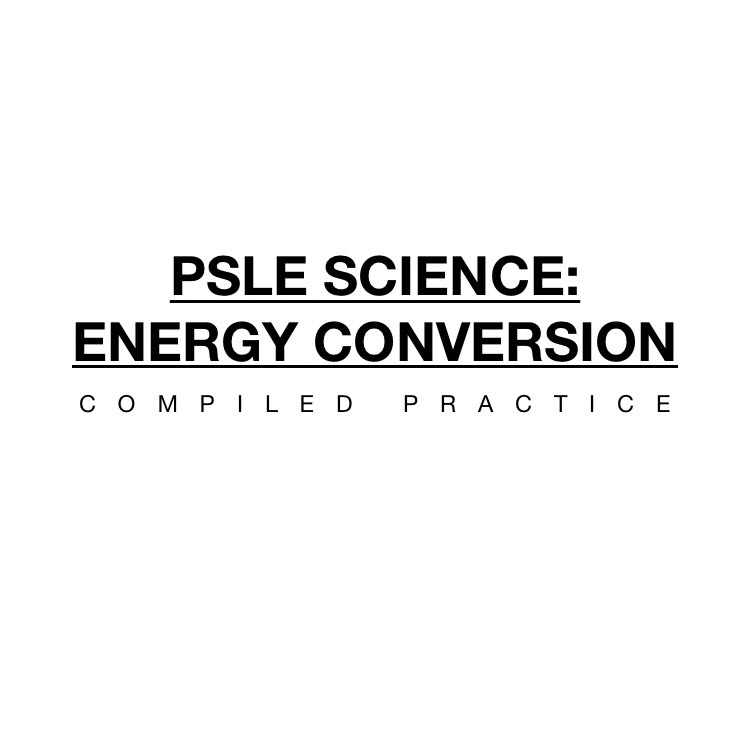 PSLE SCIENCE ULTIMATE COMPILED PRACTICE: ENERGY CONVERSIOM, Hobbies ...