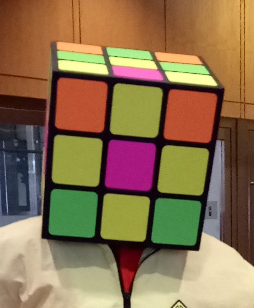 Rubik's Cube Head Costume, Hobbies & Toys, Stationery & Craft ...