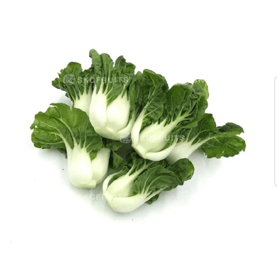 Seeds Nai Bai 奶白 Milk Cabbage Urban Farming Vegetables Garden ...