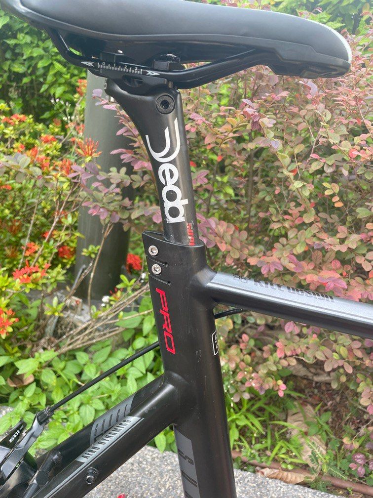 Tern surge pro mini velo, Sports Equipment, Bicycles & Parts, Bicycles on Carousell