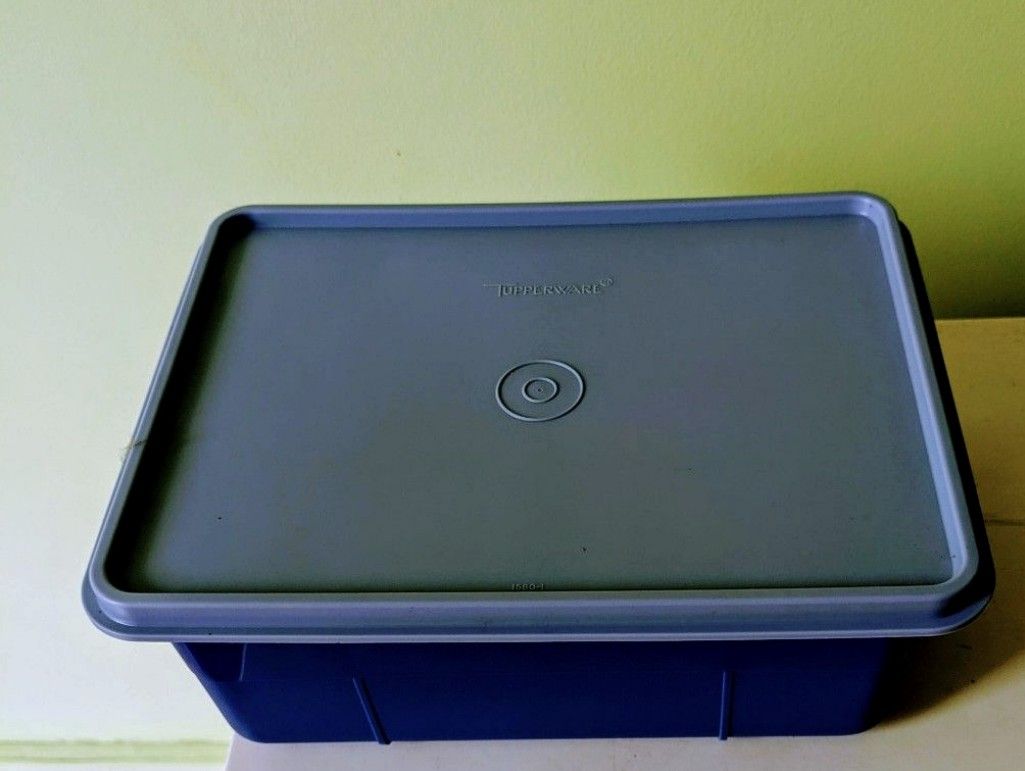 Tupperware Fun Keeper, Furniture & Home Living, Kitchenware & Tableware ...