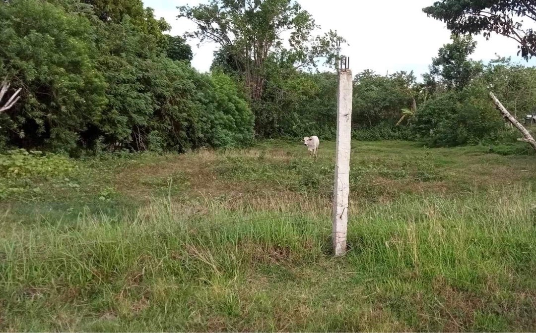 1000 square meters Lot for Rent / Lease in San Juan, Batangas on Carousell