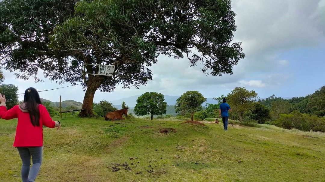 2 hectares Farm Lot for sale in Siniloan, Laguna on Carousell