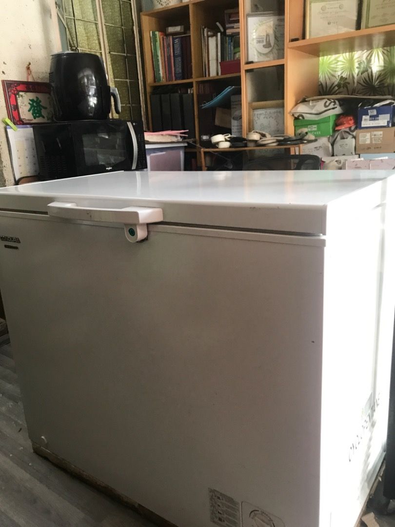 Condura Freezer Inverter on Carousell