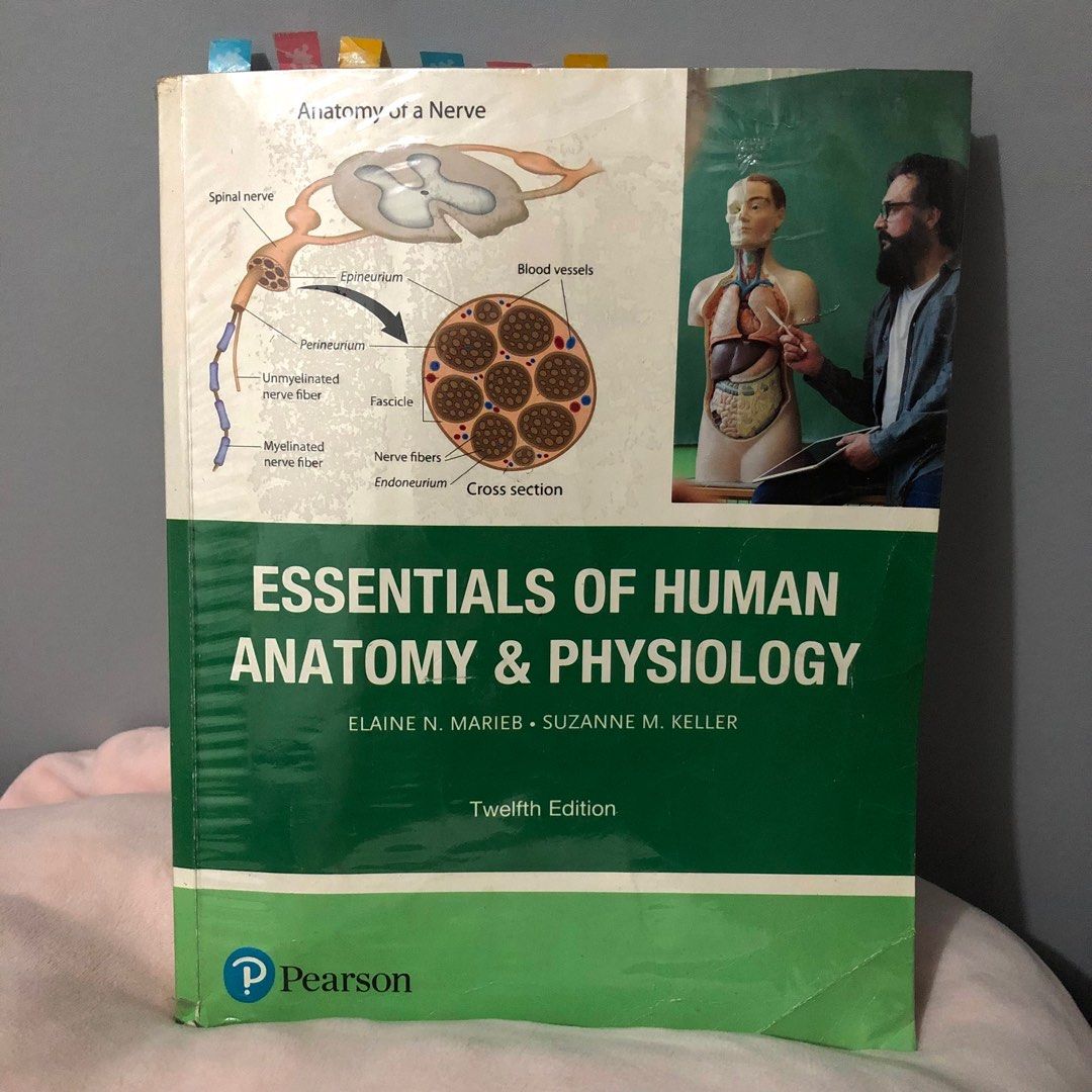 Essentials of Human Anatomy & Physiology Laboratory Manual Seventh (7th) Edition (SET: LEC AND ...