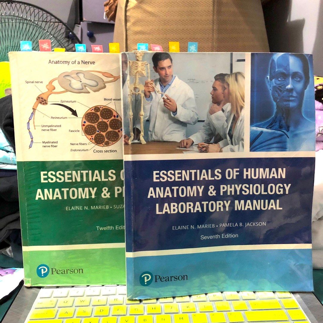 Essentials of Human Anatomy & Physiology Laboratory Manual Seventh (7th) Edition (SET: LEC AND ...
