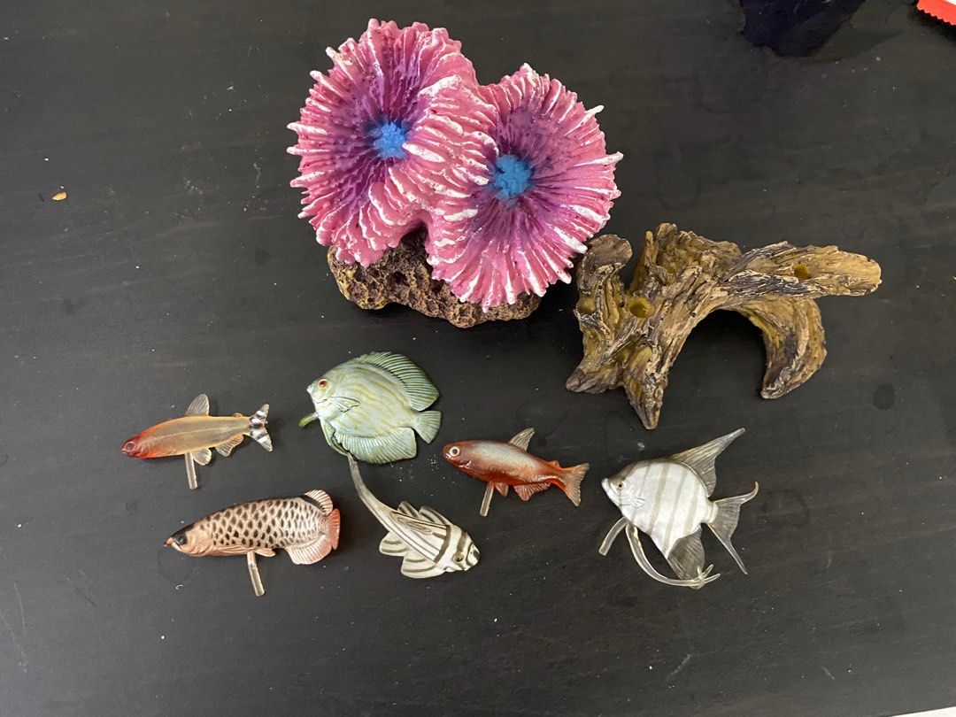Fish displays with the corals, Pet Supplies, Homes & Other Pet ...