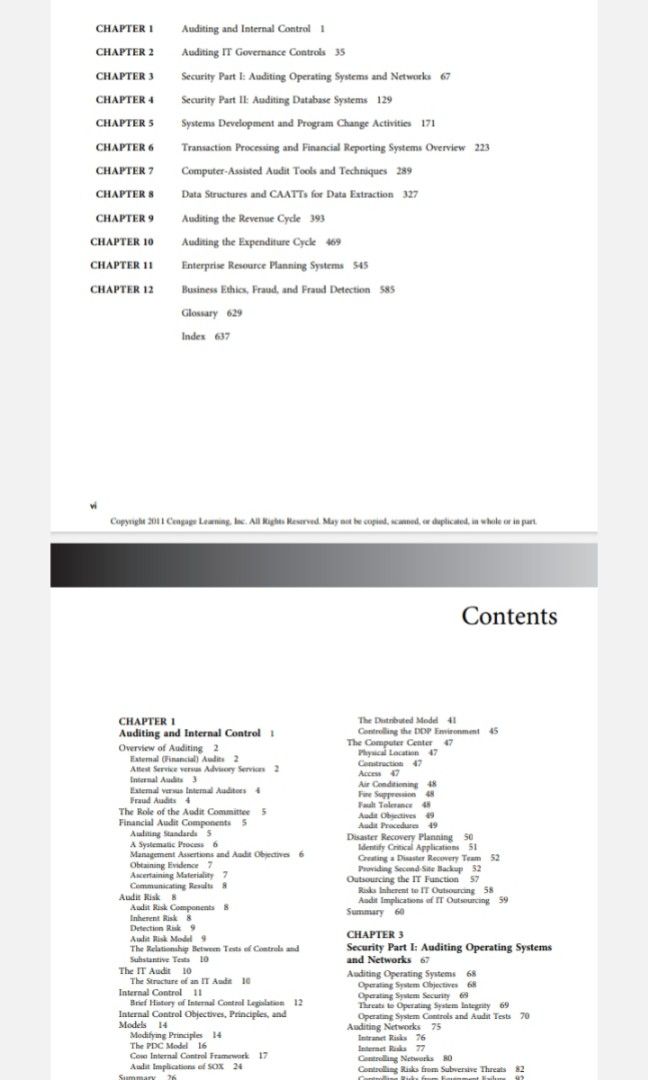 Information Technology Auditing Accounting Information System By Hall Hobbies And Toys Books