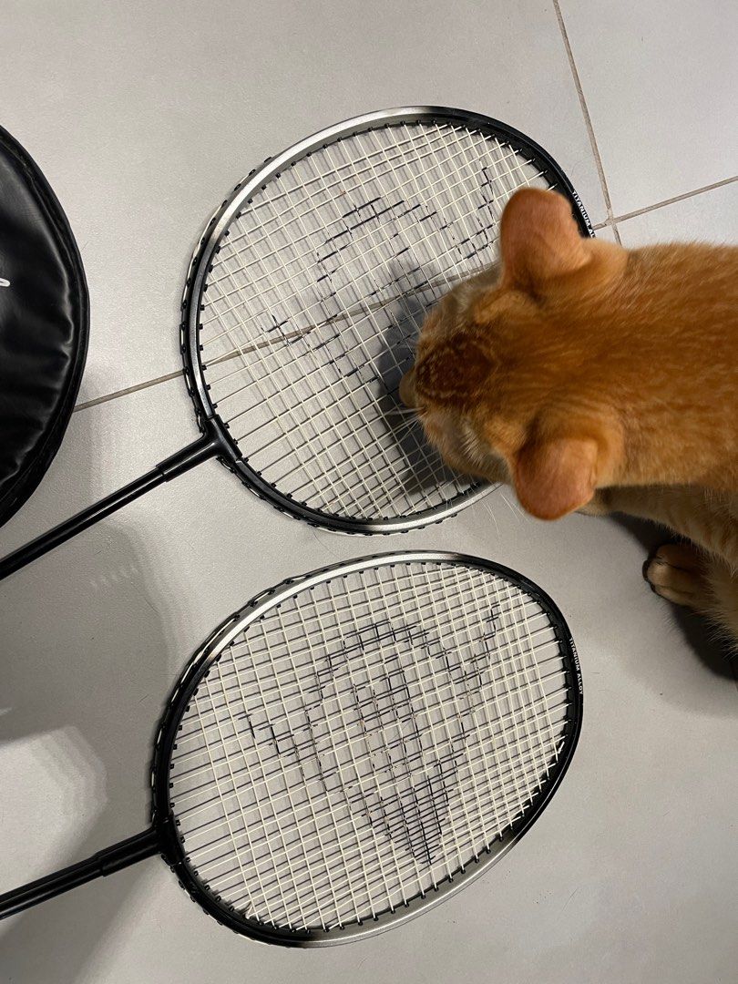 Pair of Dunlop Badminton Rackets + Shuttlecock, Sports Equipment ...