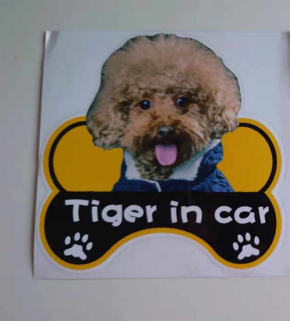 Pet dog car sticker, Hobbies & Toys, Stationery & Craft, Art & Prints ...