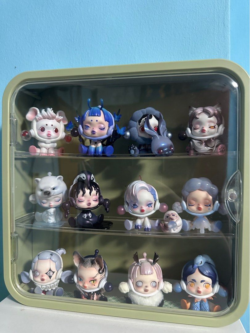 PopMart SkullPanda Mares of animal ( with display case), Hobbies & Toys ...