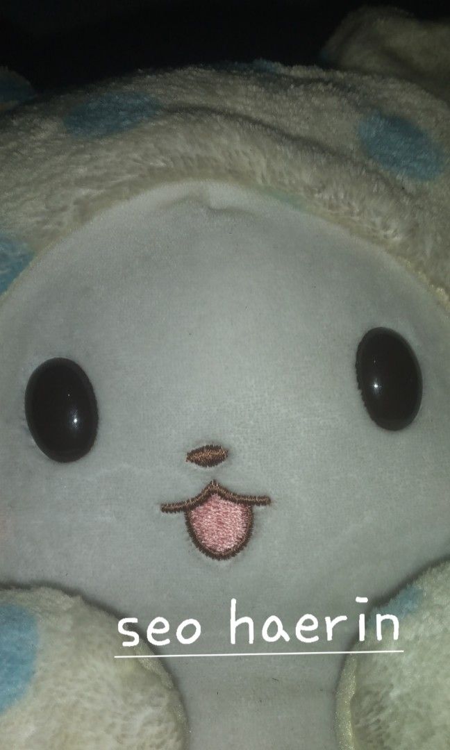 (QYOP) Moppu Marumofubiyori Big Plush on Carousell