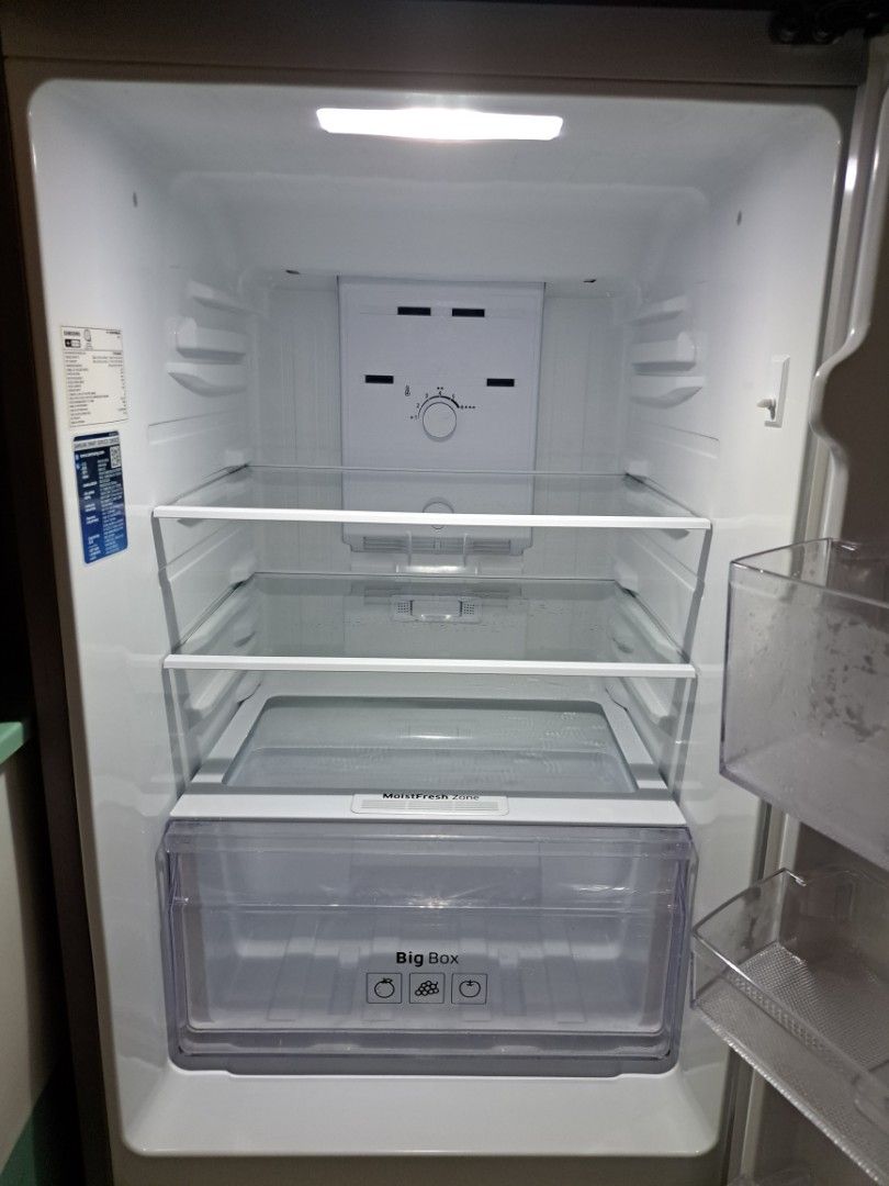 SAMSUNG REF (MODEL RT20K300ASE), TV & Home Appliances, Kitchen ...