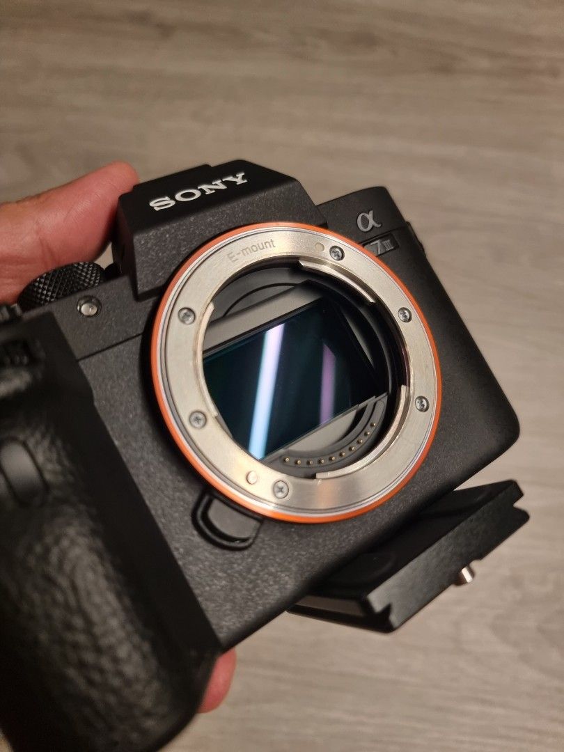 Sony A7iii body, Photography, Cameras on Carousell
