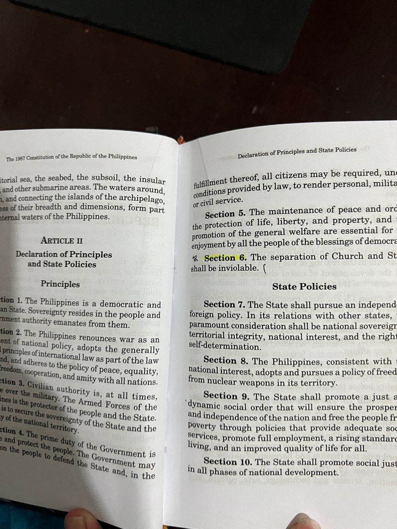 The 1987 Philippine Constitution Codal (2016), Hobbies & Toys, Books ...