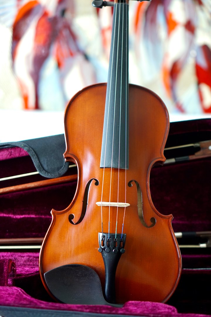 Violin 4/4 Alfred Stingl by Hofner Model AS-060, Hobbies & Toys, Music ...