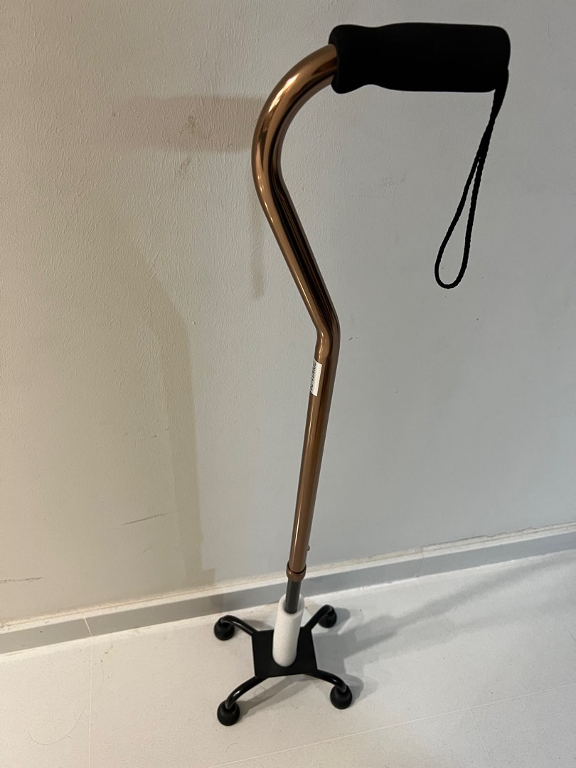 Walking stick, Health & Nutrition, Assistive & Rehabilatory Aids ...
