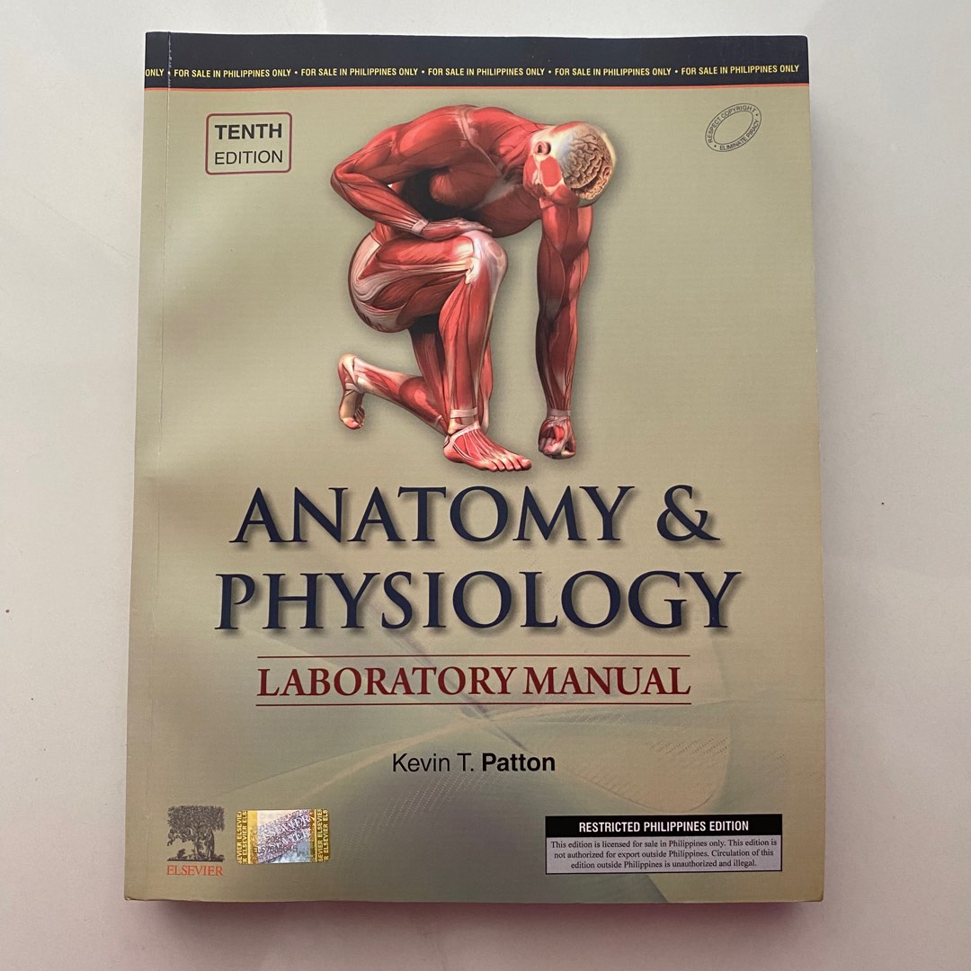 Anatomy And Physiology Laboratory Manual Kevin Patton On Carousell