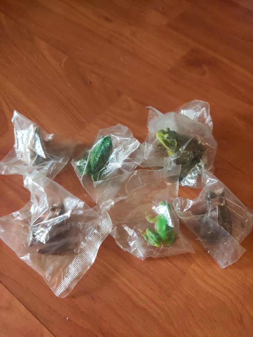 Capsule assorted frog, Hobbies & Toys, Toys & Games on Carousell