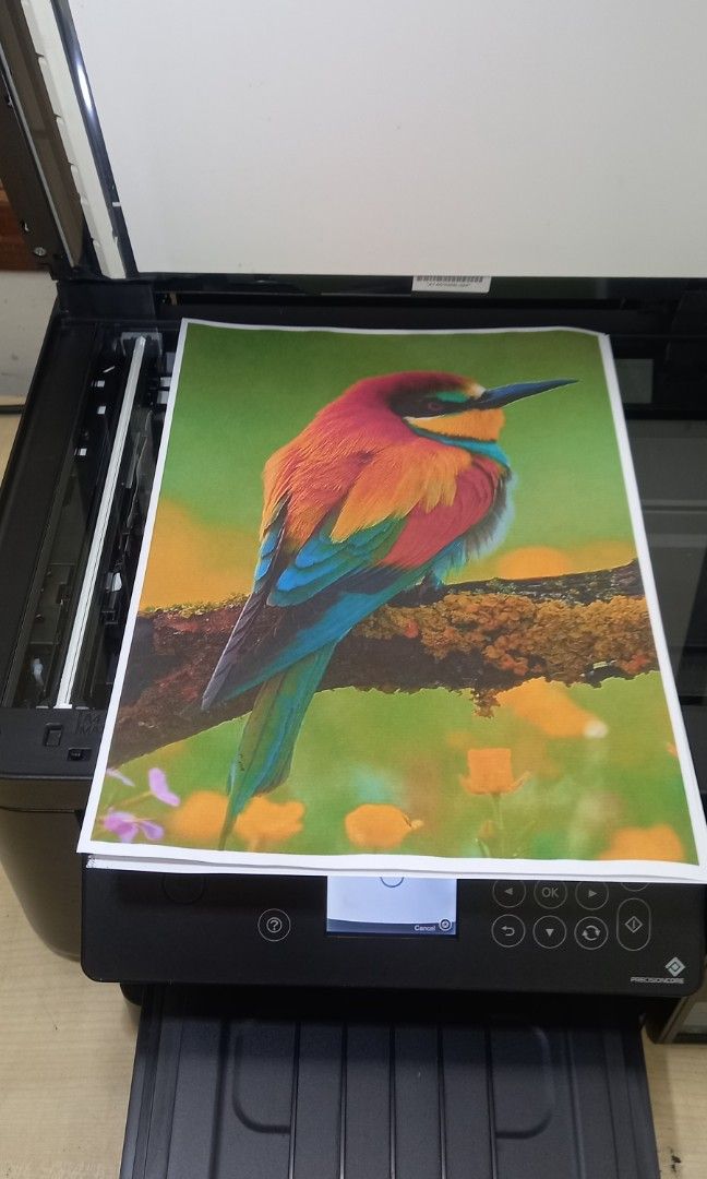 Epson Printer L6170 (#E3)( Ink Tank almost full), Computers & Tech ...