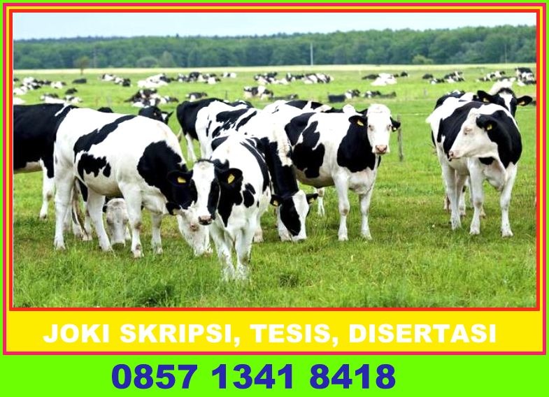 Jasa Joki Pembuatan Skripsi, Tesis, Disertasi Peternakan Terbaik Di ...