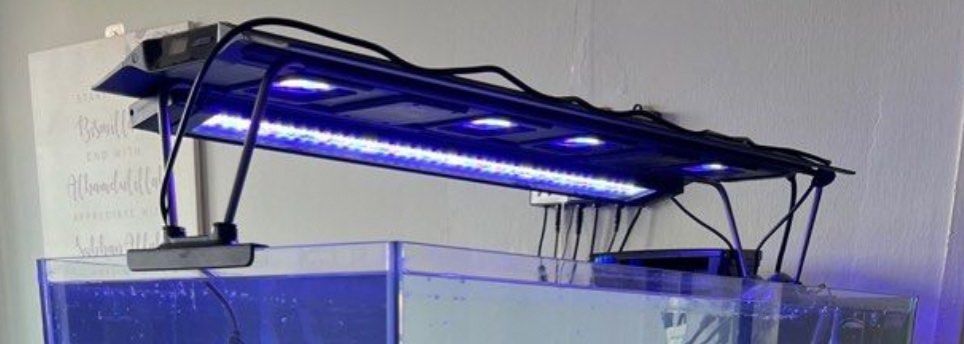 Maxspect RSX Razor XR5-200 Marine LED Aquarium Lighting, Pet Supplies ...