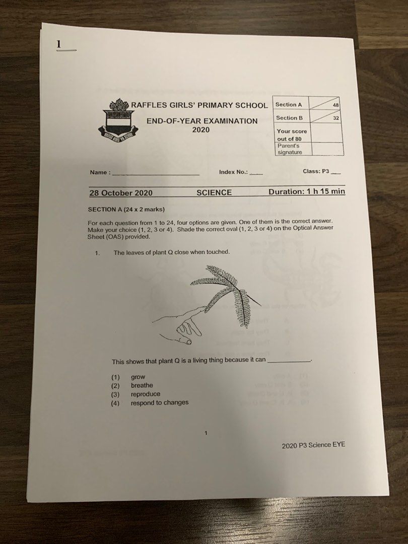 P3 Science Top School Past Year Papers 2020/2021, Hobbies & Toys, Books ...