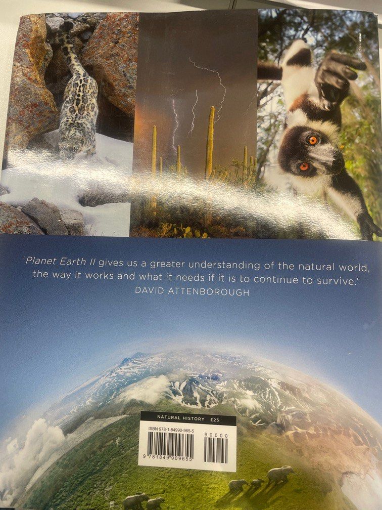 Bbc Planet Earth Coloring Book