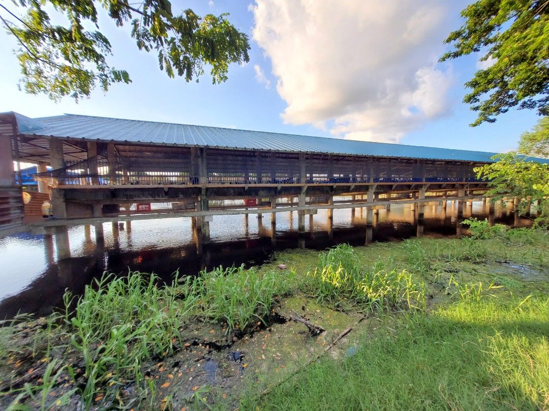 POULTRY, FISHPOND, MANGO FARM, Property, For Sale, Lot on Carousell