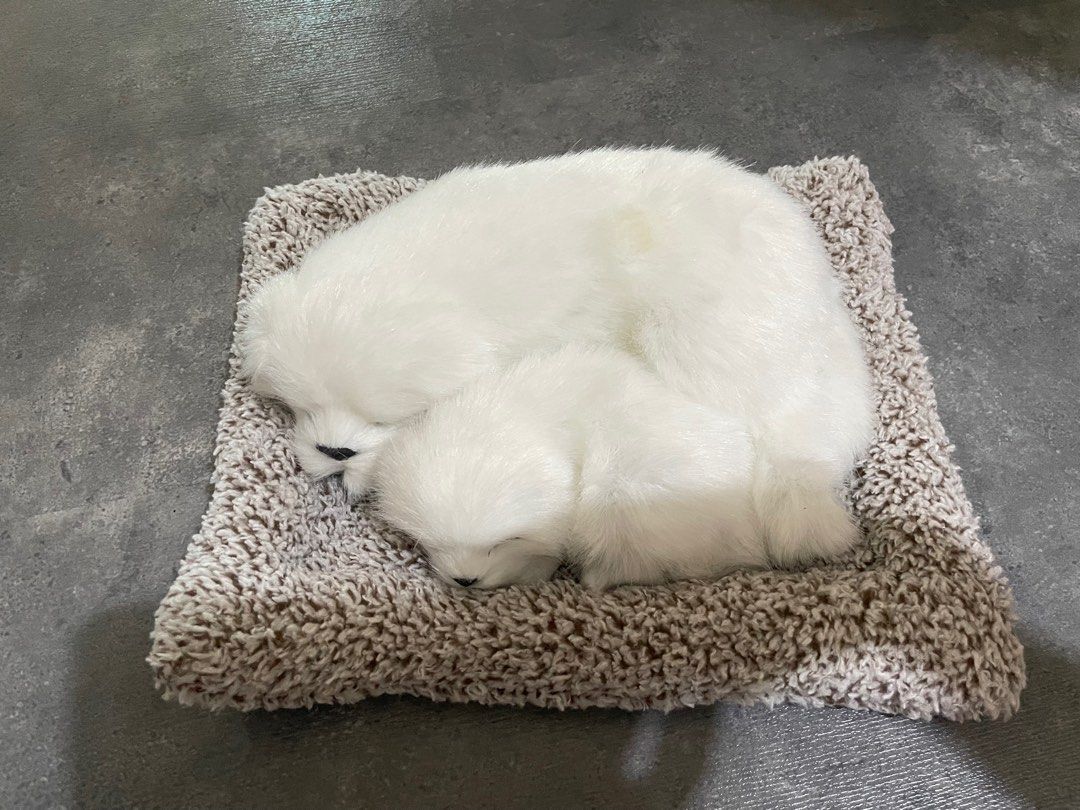 Realistic meowing barking dog and cat deco plush toy, Hobbies & Toys ...