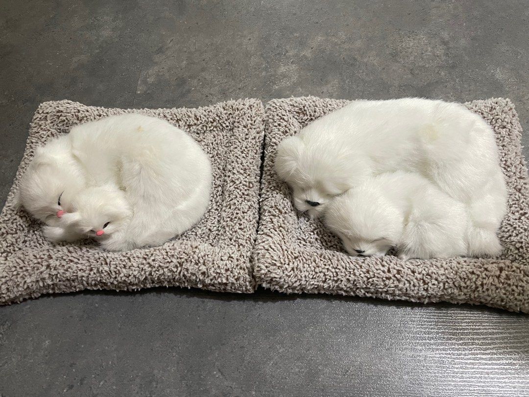 Realistic meowing barking dog and cat deco plush toy, Hobbies & Toys ...