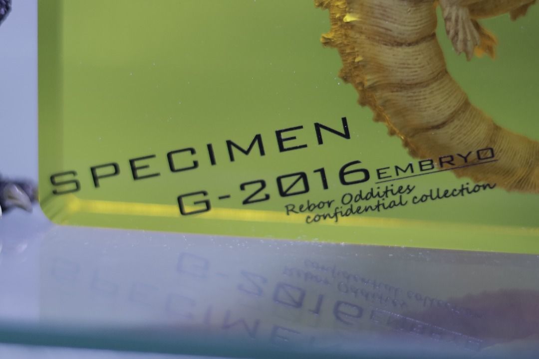 Rebor Oddities Specimen: G-2016 Embryo in Resinite Shin Godzilla ...