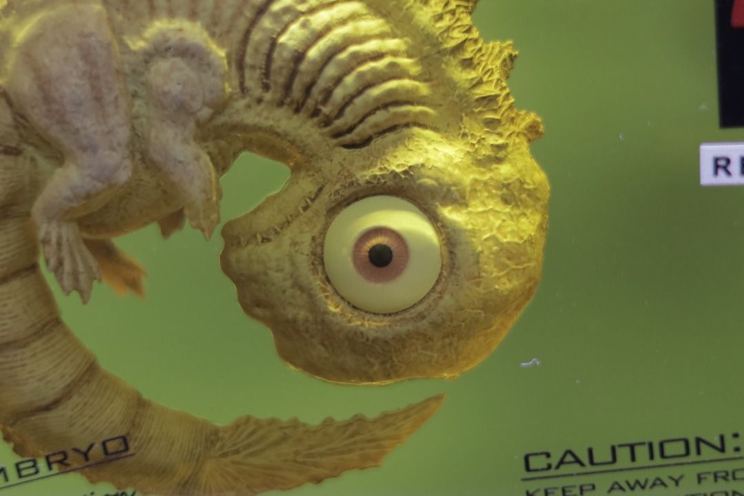 Rebor Oddities Specimen: G-2016 Embryo in Resinite Shin Godzilla ...