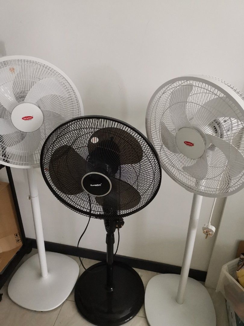 Standing Fan, Furniture & Home Living, Lighting & Fans, Fans on Carousell
