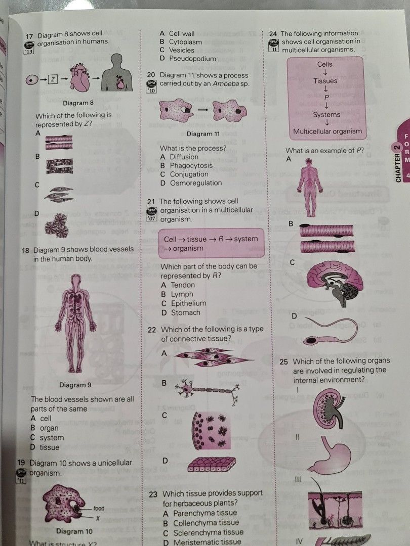 Success Biology SPM textbook, Hobbies & Toys, Books & Magazines ...