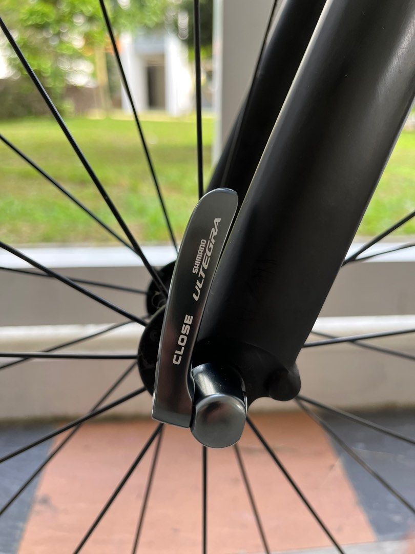 Tern Surge Mini Velo, Sports Equipment, Bicycles & Parts, Bicycles on Carousell