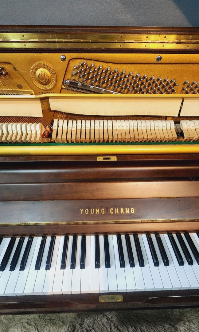YOUNG CHANG U121 UPRIGHT PIANO on Carousell