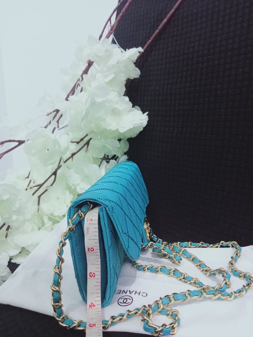 Chanel WOC Store Entry vp bag on Carousell