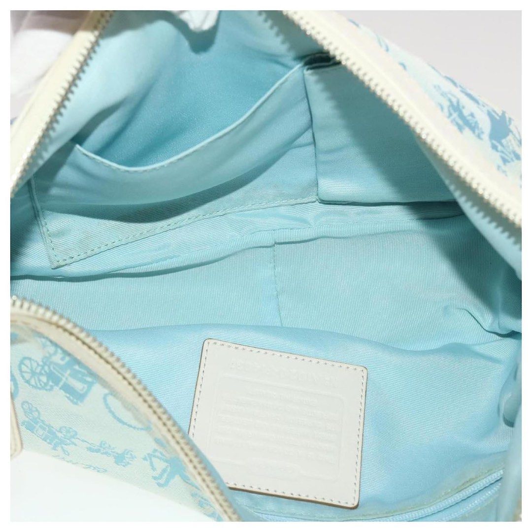 Coach Baby Blue Bag on Carousell