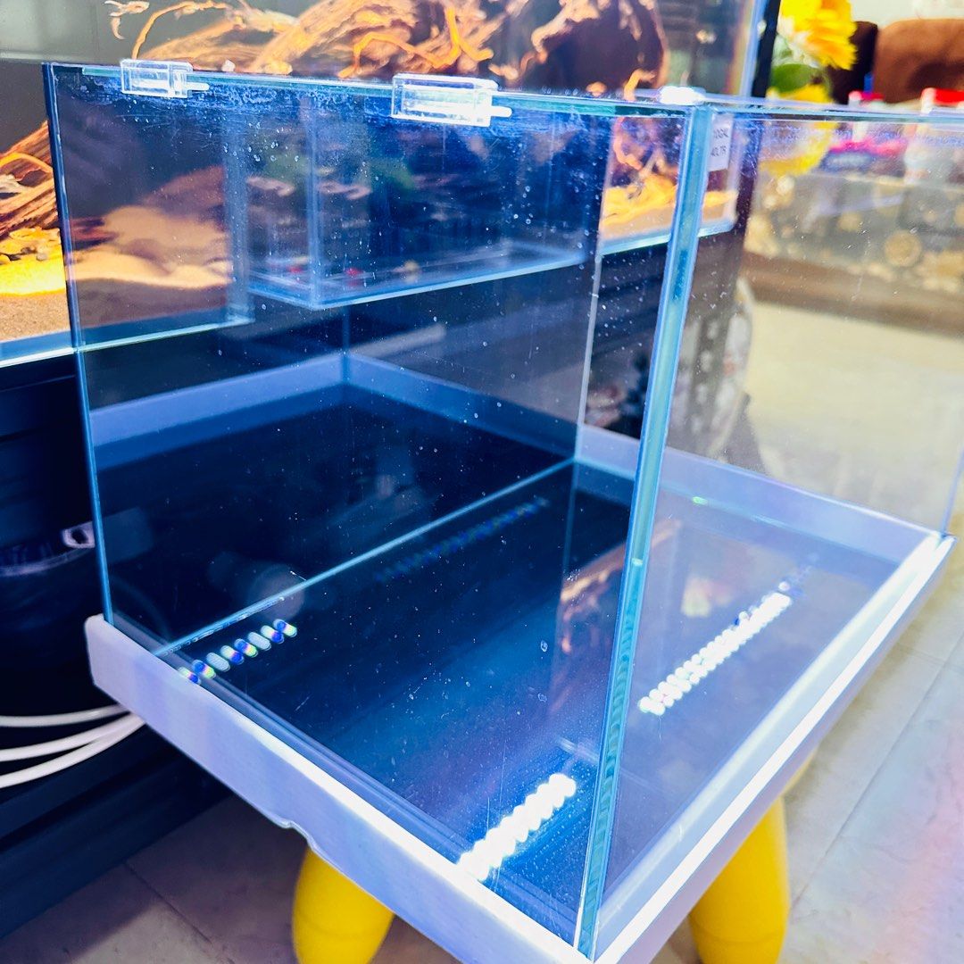 Crystal Glass Fish Tank 45CM, Pet Supplies, Homes & Other Pet ...