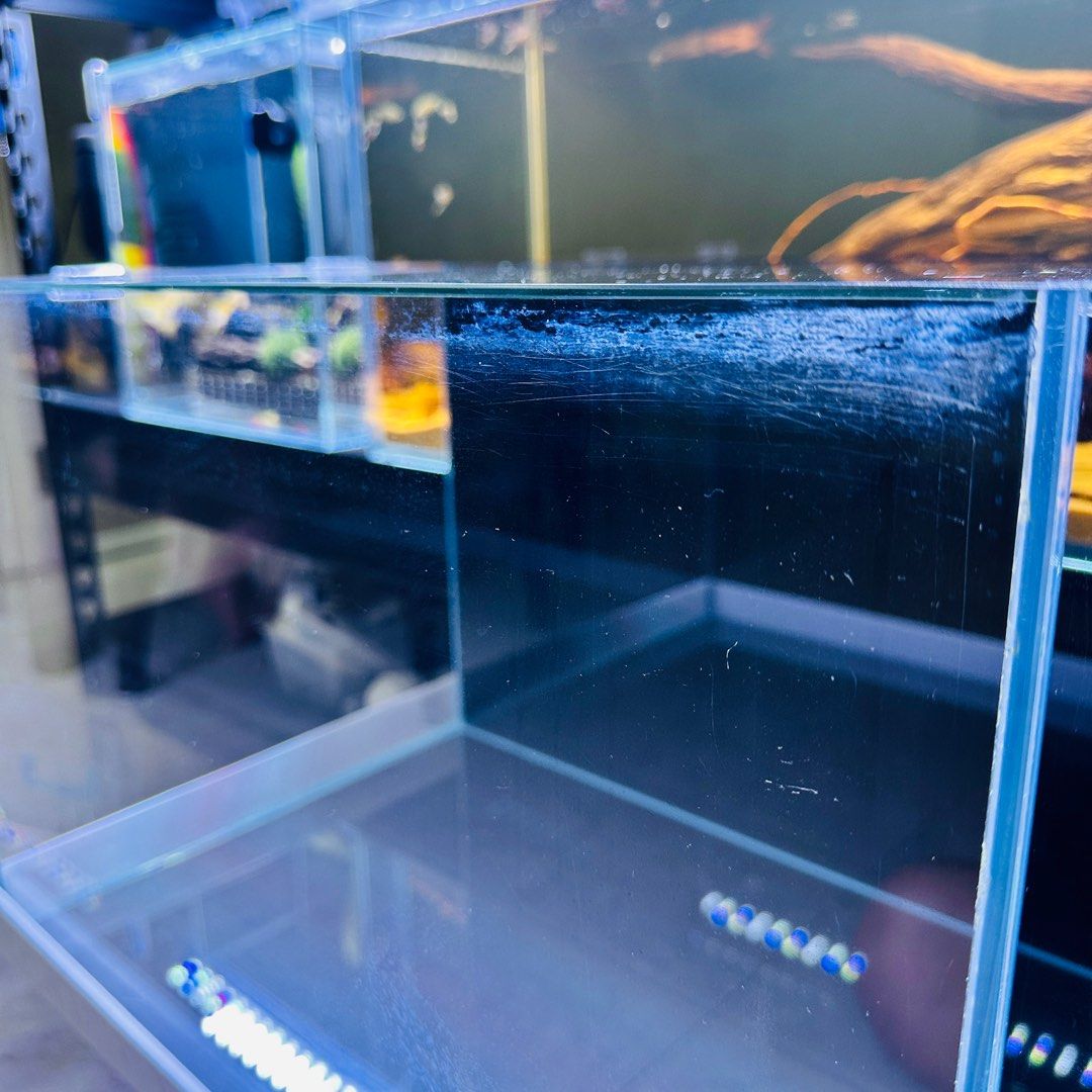 Crystal Glass Fish Tank 45CM, Pet Supplies, Homes & Other Pet ...