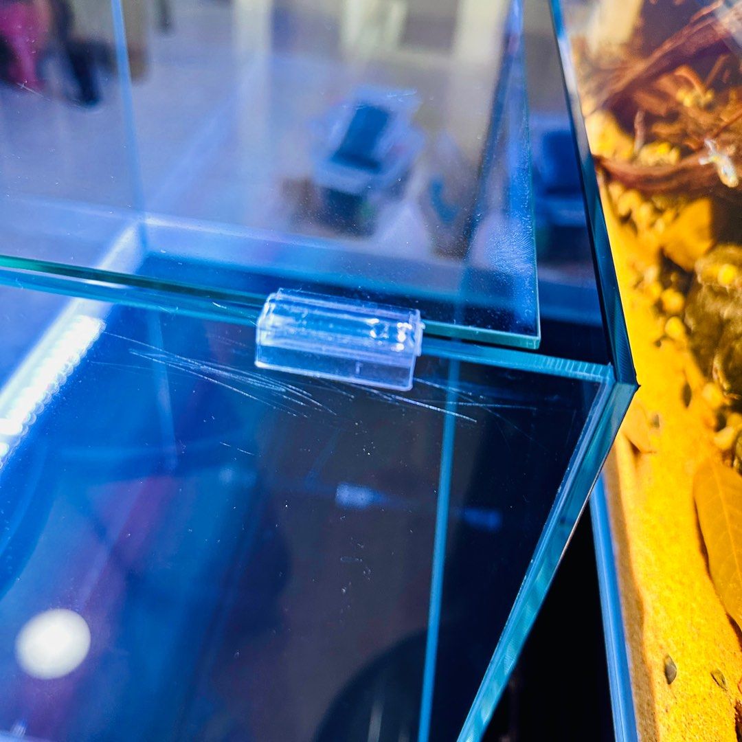 Crystal Glass Fish Tank 45CM, Pet Supplies, Homes & Other Pet ...